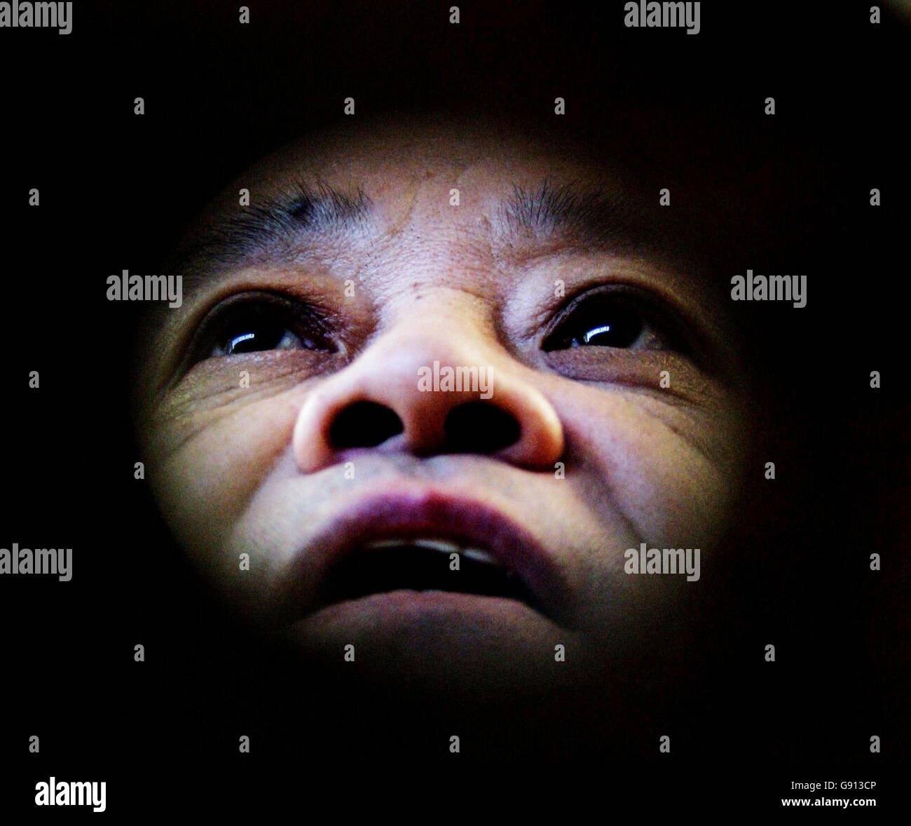 Katsumasa shinozuka hi-res stock photography and images - Alamy