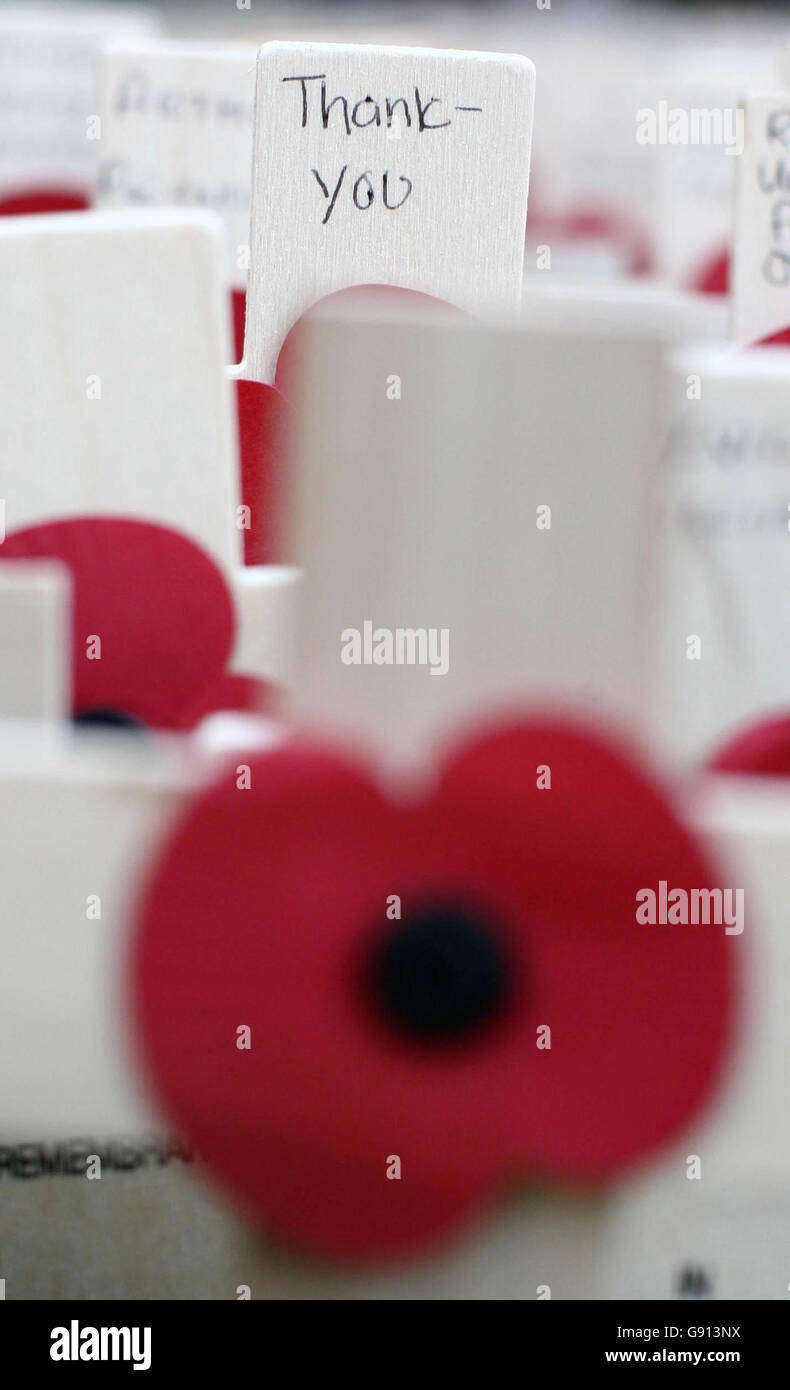 British Customs and Traditions - Remembrance Day - London - 2005 Stock ...