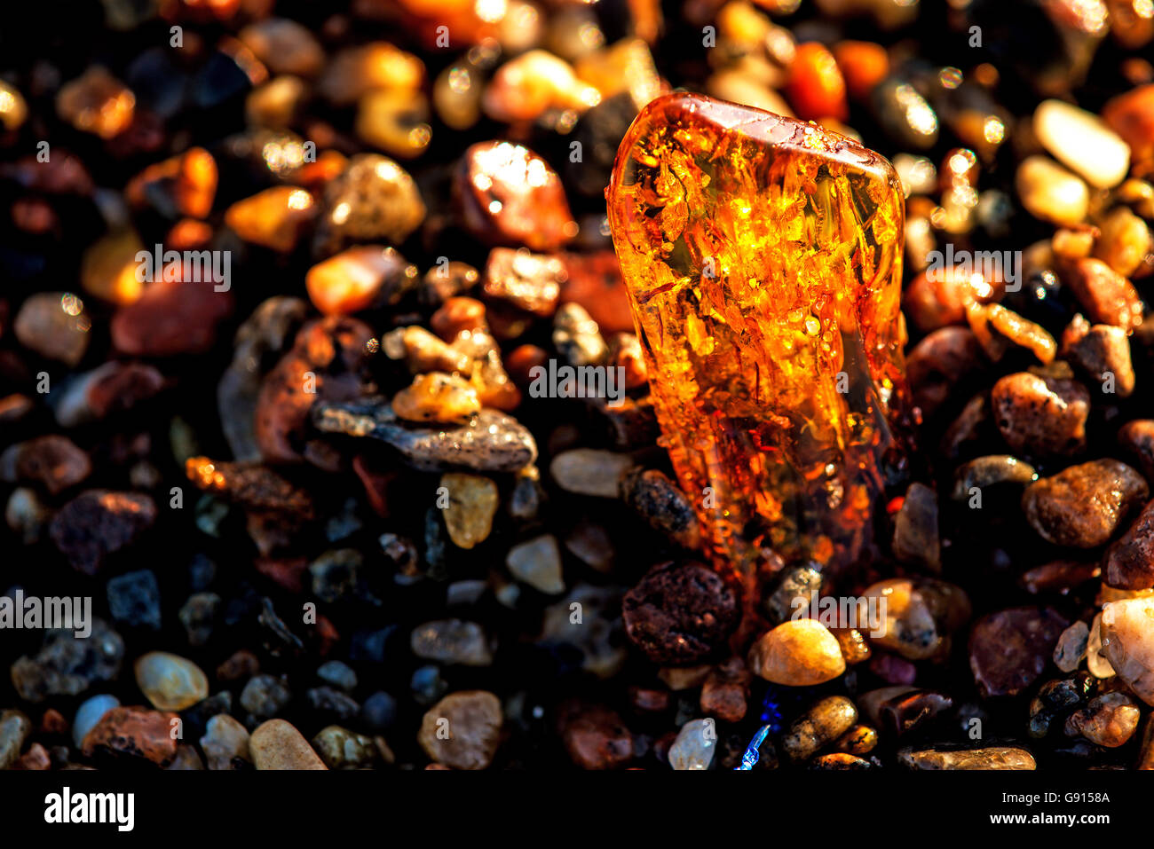 Amber on a beach of the Baltic Sea Stock Photo - Alamy
