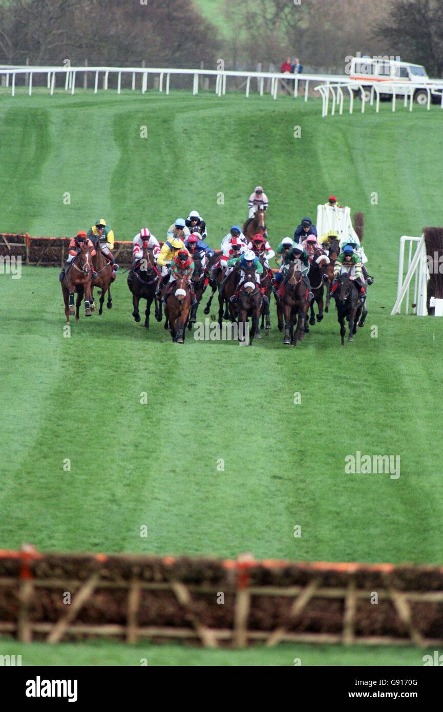 Horse Racing - Cheltenham National Hunt Festival Stock Photo - Alamy