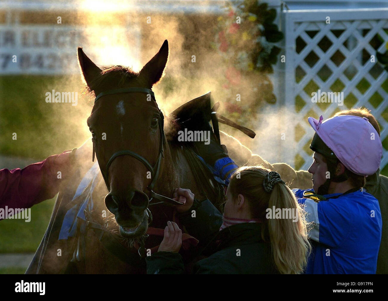 Steam comes off the horses during freezing temperatures at Wetherby ...