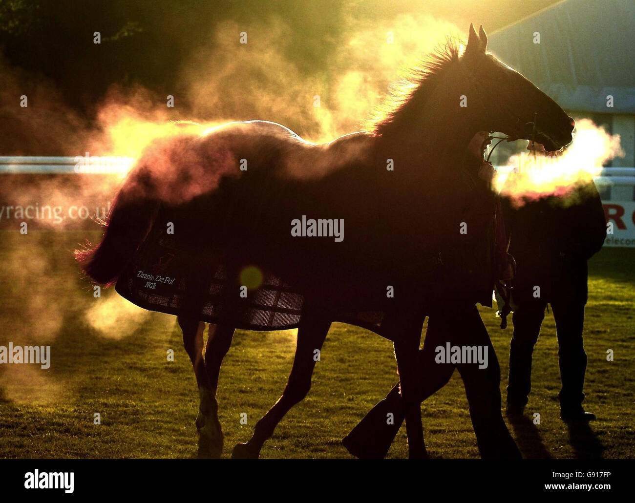 Steam comes off the horses during freezing temperatures at Wetherby ...