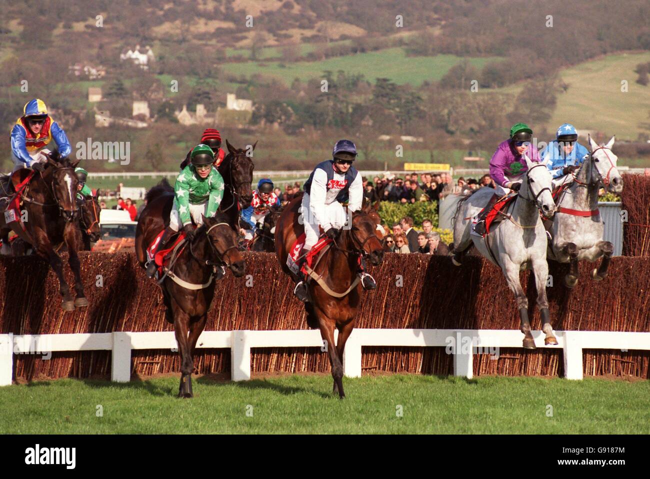 Horse Racing - Cheltenham National Hunt Festival Stock Photo - Alamy