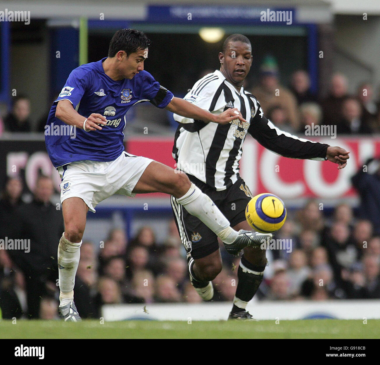 Everton's Tim Cahill (L) challenges Newcastle United's Titus Bramble ...
