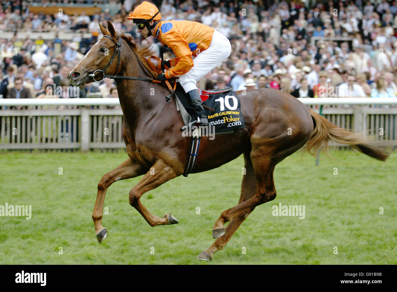 Newmarket Rowley Mile Racecourse High Resolution Stock Photography and ...