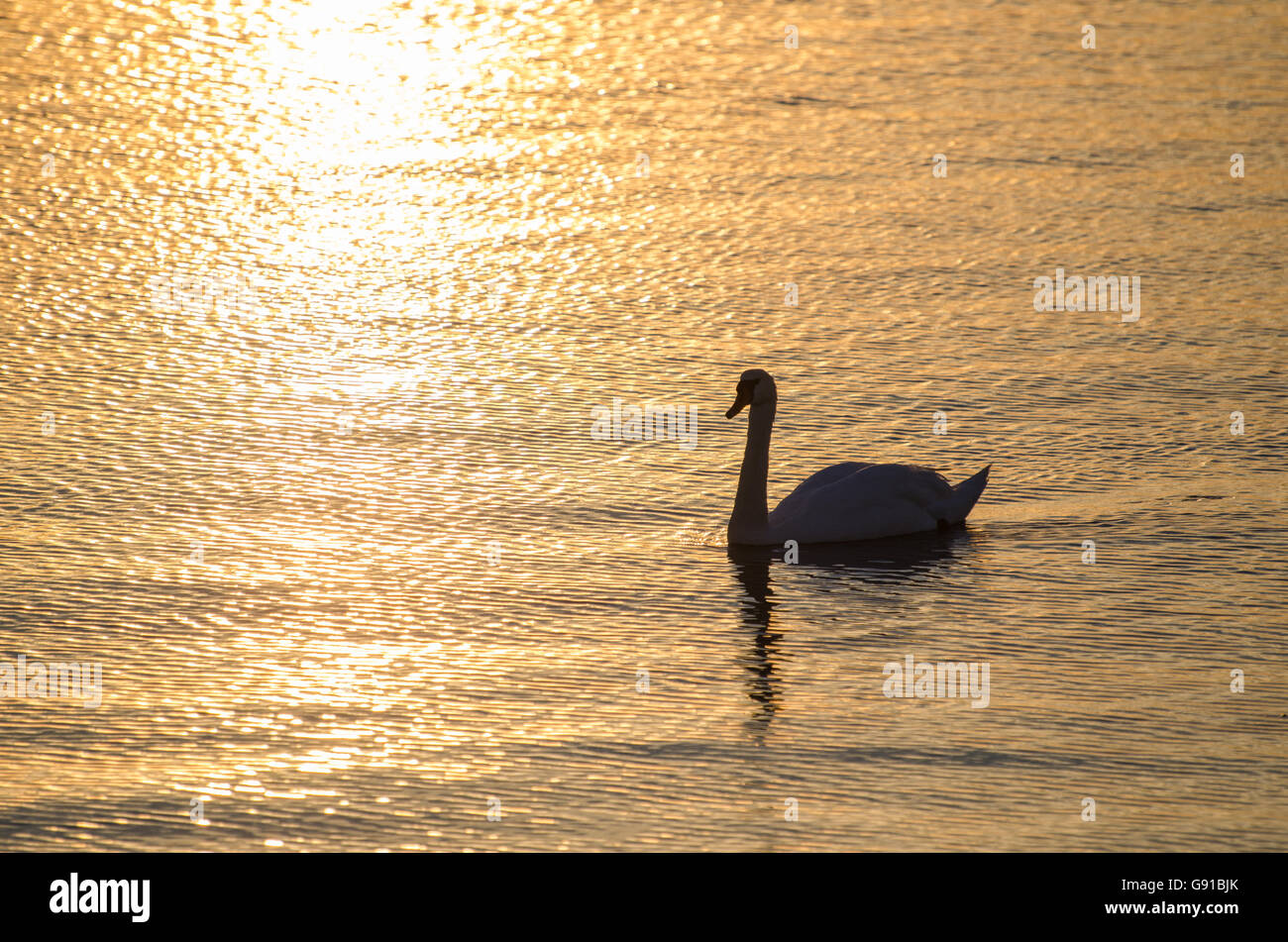 Calm water sunset reflections hi-res stock photography and images - Alamy