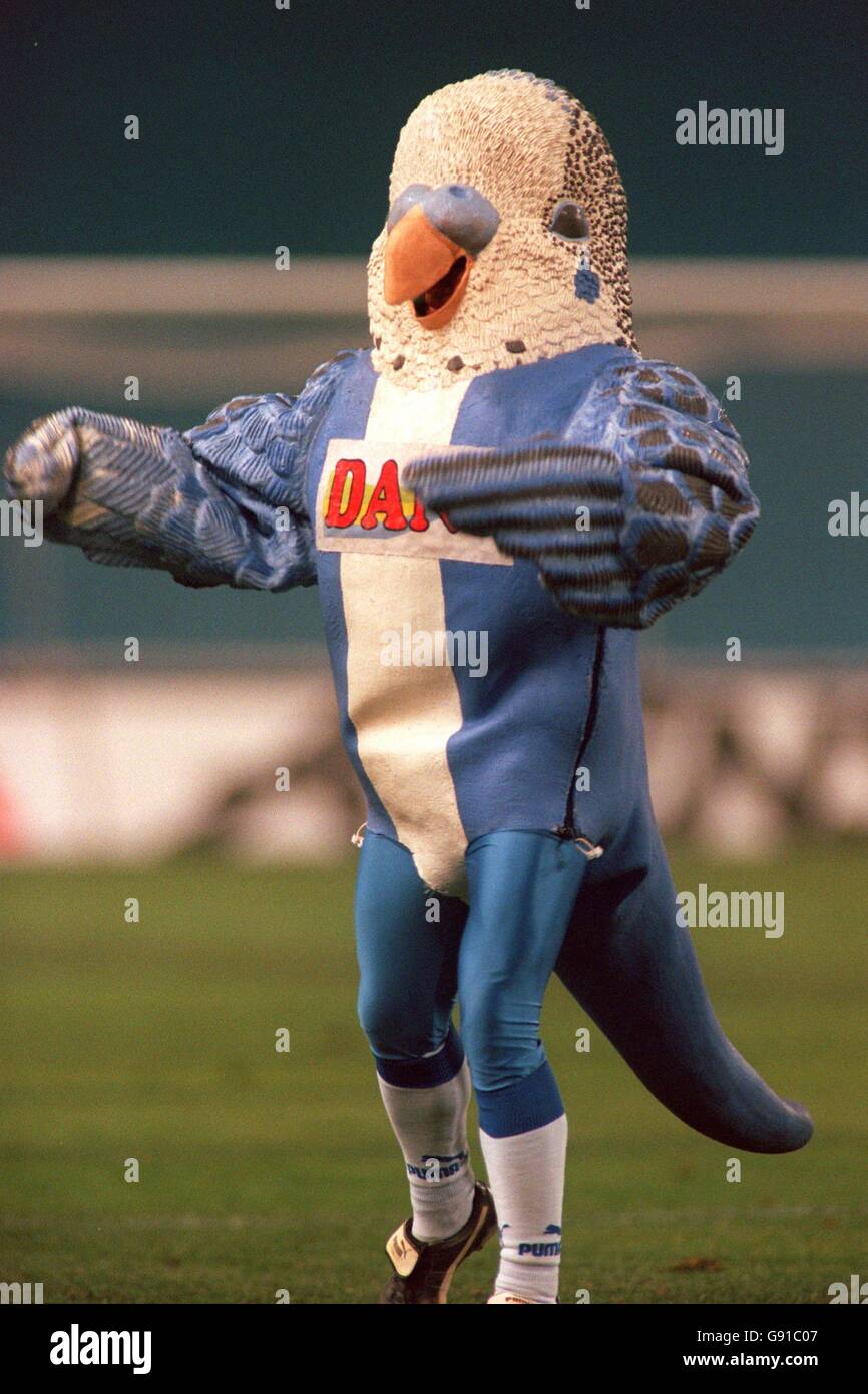 Espanols mascot hi-res stock photography and images - Alamy