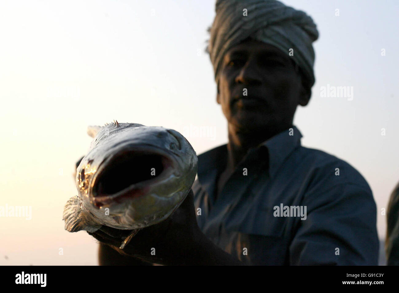 DEATH Quake Fishing Stock Photo - Alamy