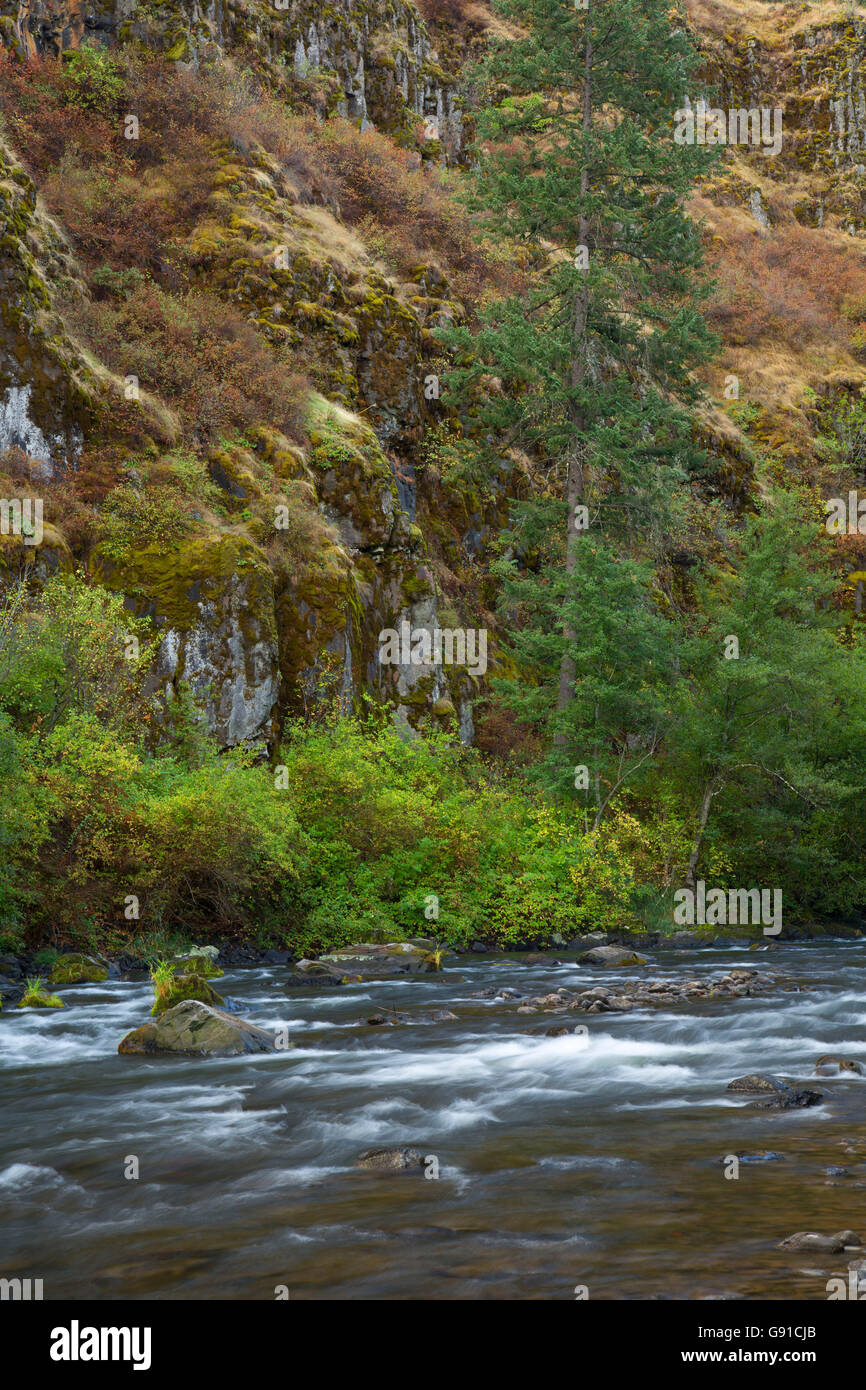 Wenaha Wild and Scenic River from Wenaha River Trail, Wenaha Wildlife ...