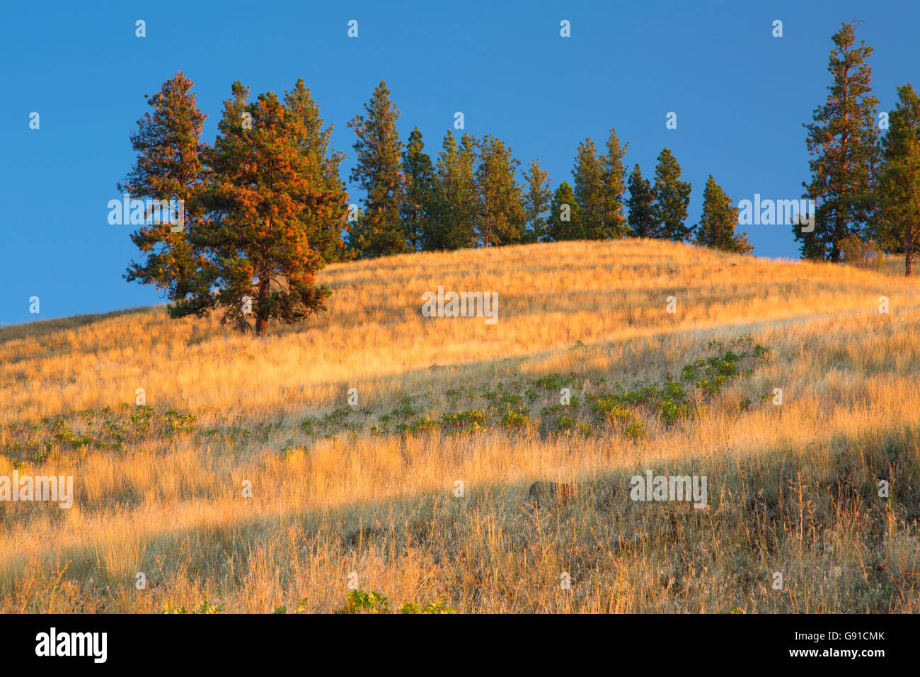 Grass slope hi-res stock photography and images - Alamy