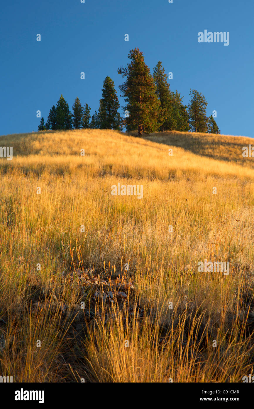 Grass slope hi-res stock photography and images - Alamy