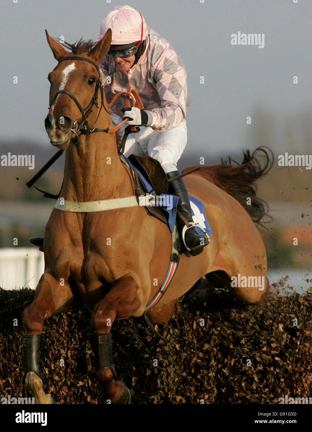 Darkness, ridden by Barry fenton crosses the last hurdle to win the ...