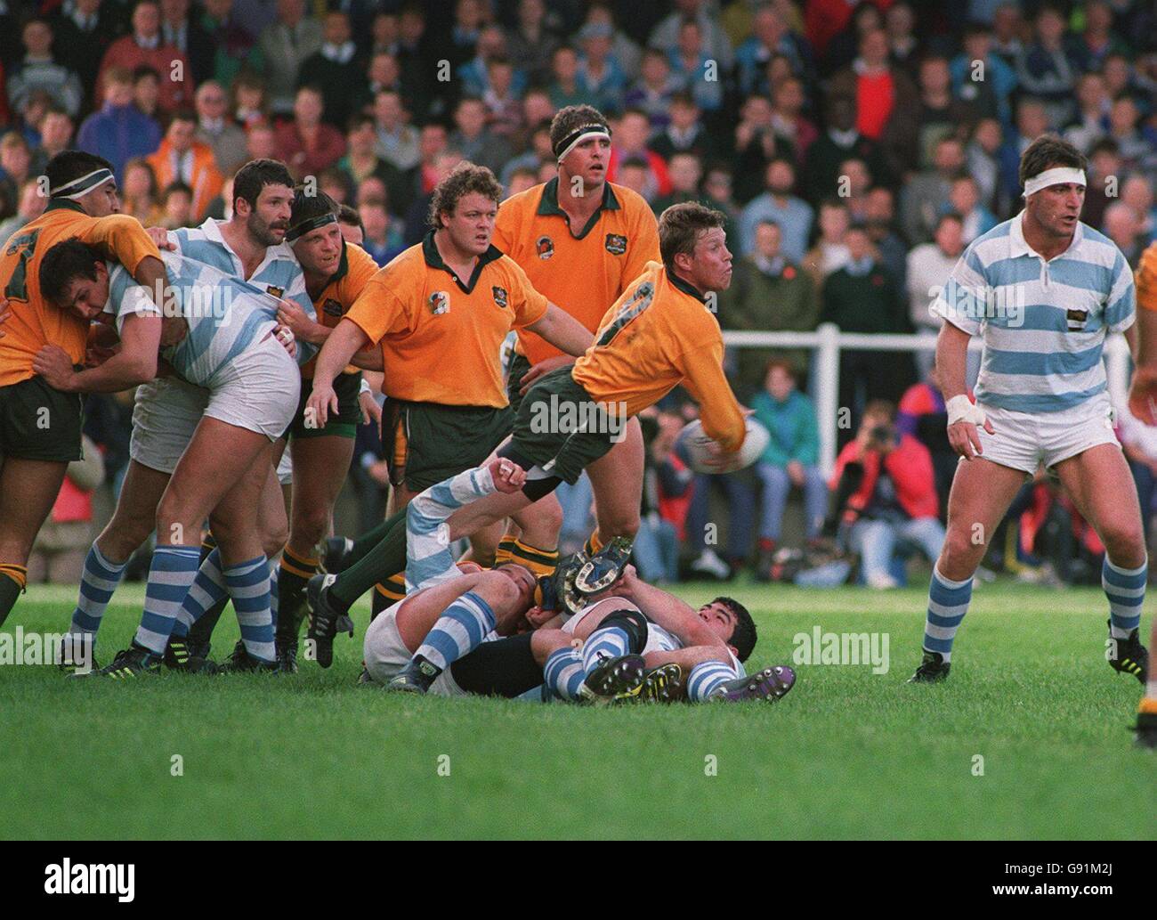 INTERNATIONAL RUGBY WORLD CUP Stock Photo - Alamy