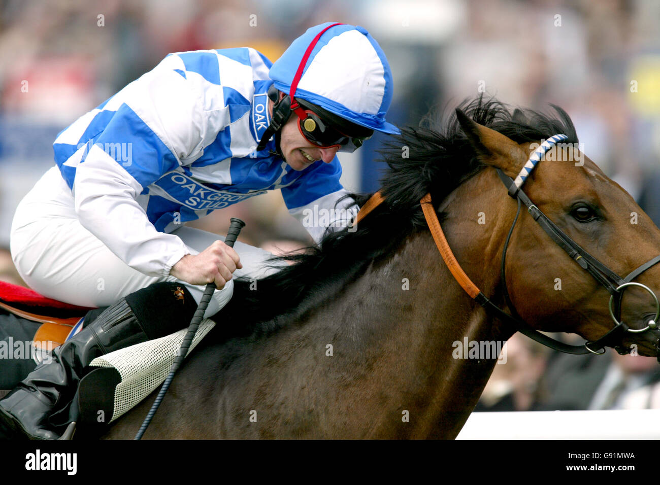 Horse Racing - Guineas Festival - Newmarket Rowley Mile Racecourse ...