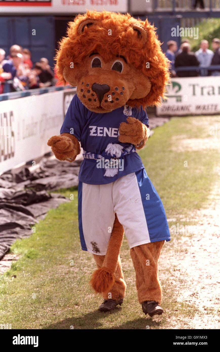 Macclesfield towns mascot hi-res stock photography and images - Alamy