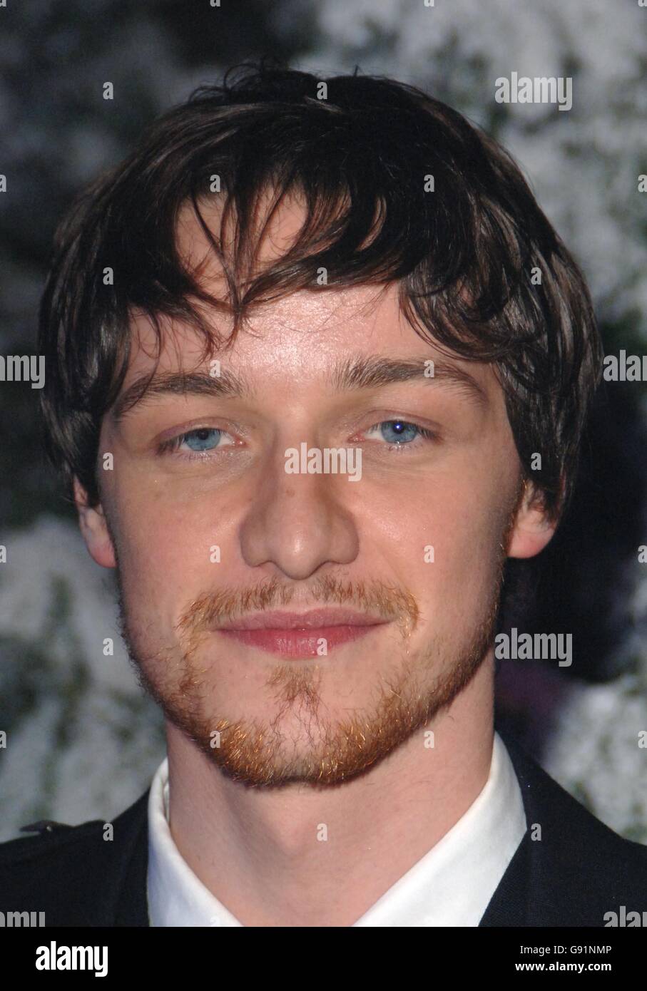 The Chronicles of Narnia Premiere Stock Photo - Alamy