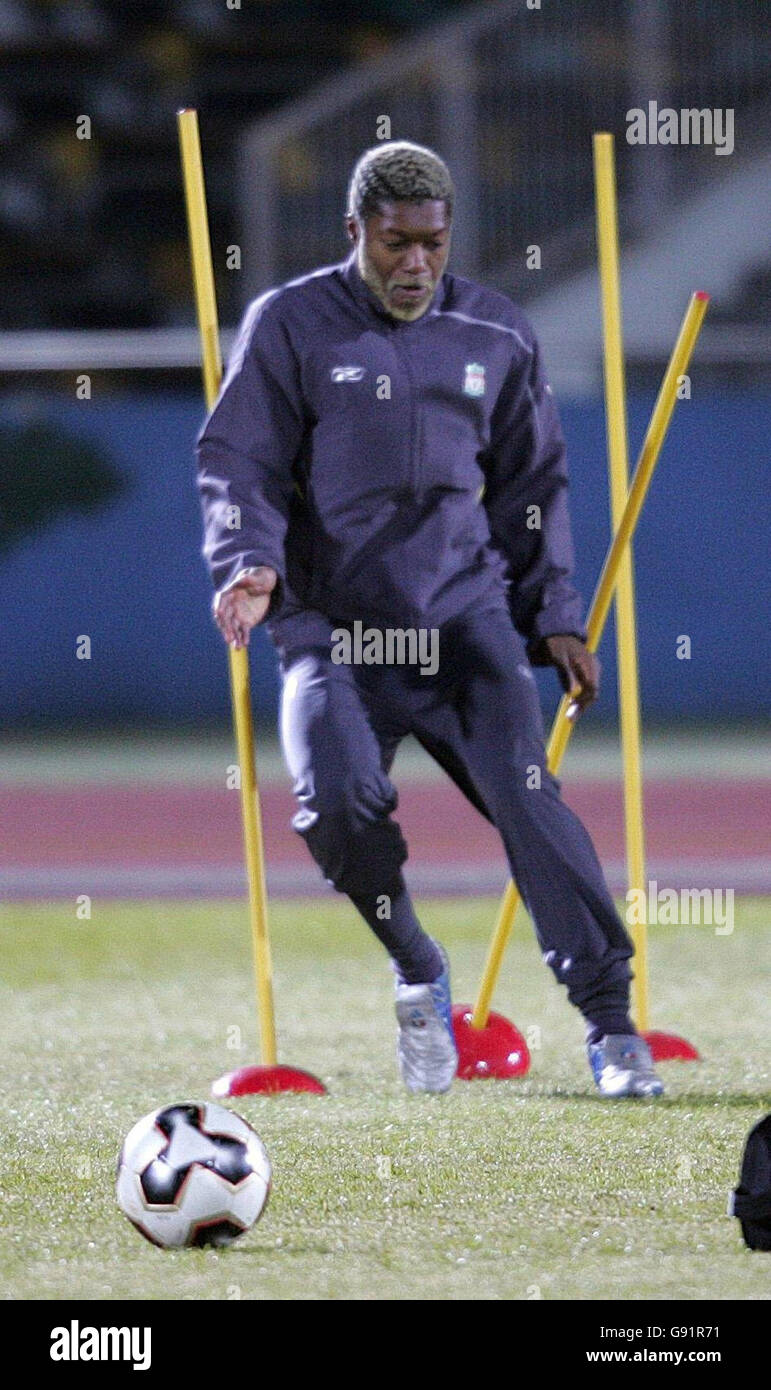 Liverpool's Djibril Cisse during a training session at the Todoroki ...