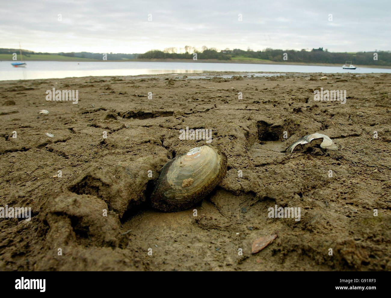 Bewl water levels hi-res stock photography and images - Alamy