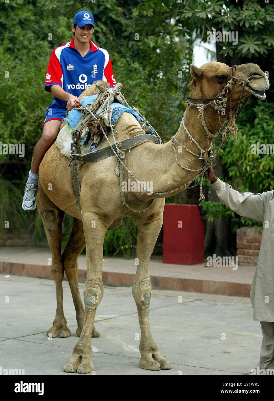 Camel team hi-res stock photography and images - Alamy