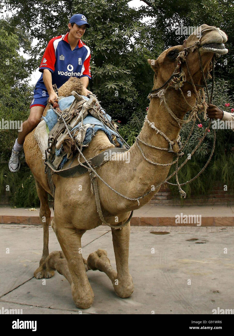 Camel team hi-res stock photography and images - Alamy