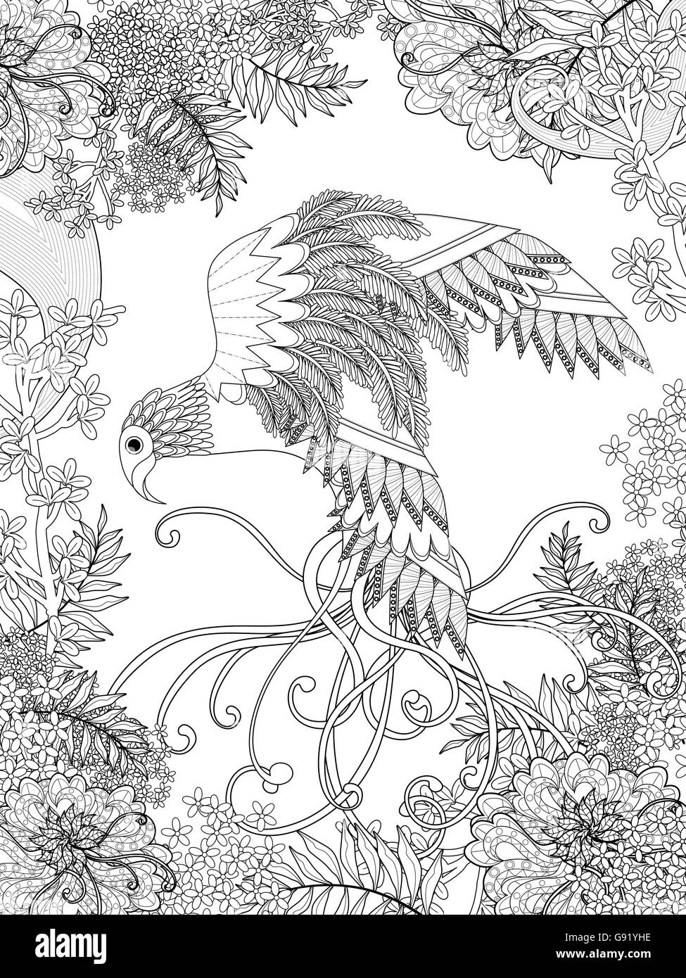 Coloring Pages Of Chinas Bird