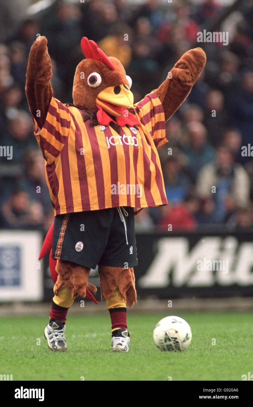 Bradford city mascot hi-res stock photography and images - Alamy
