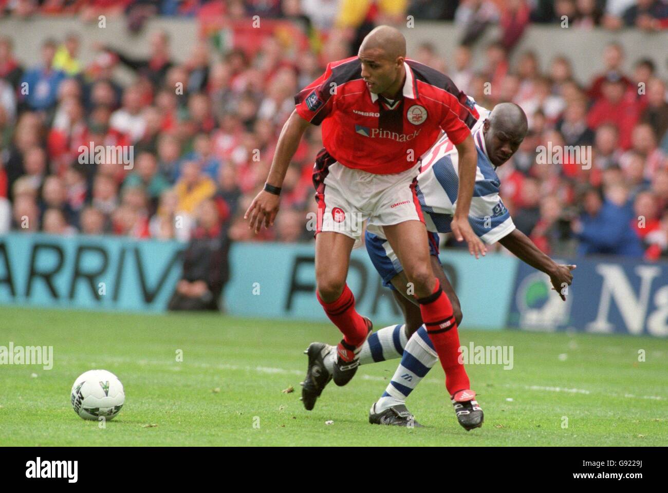 Van hooijdonk forest hi-res stock photography and images - Alamy
