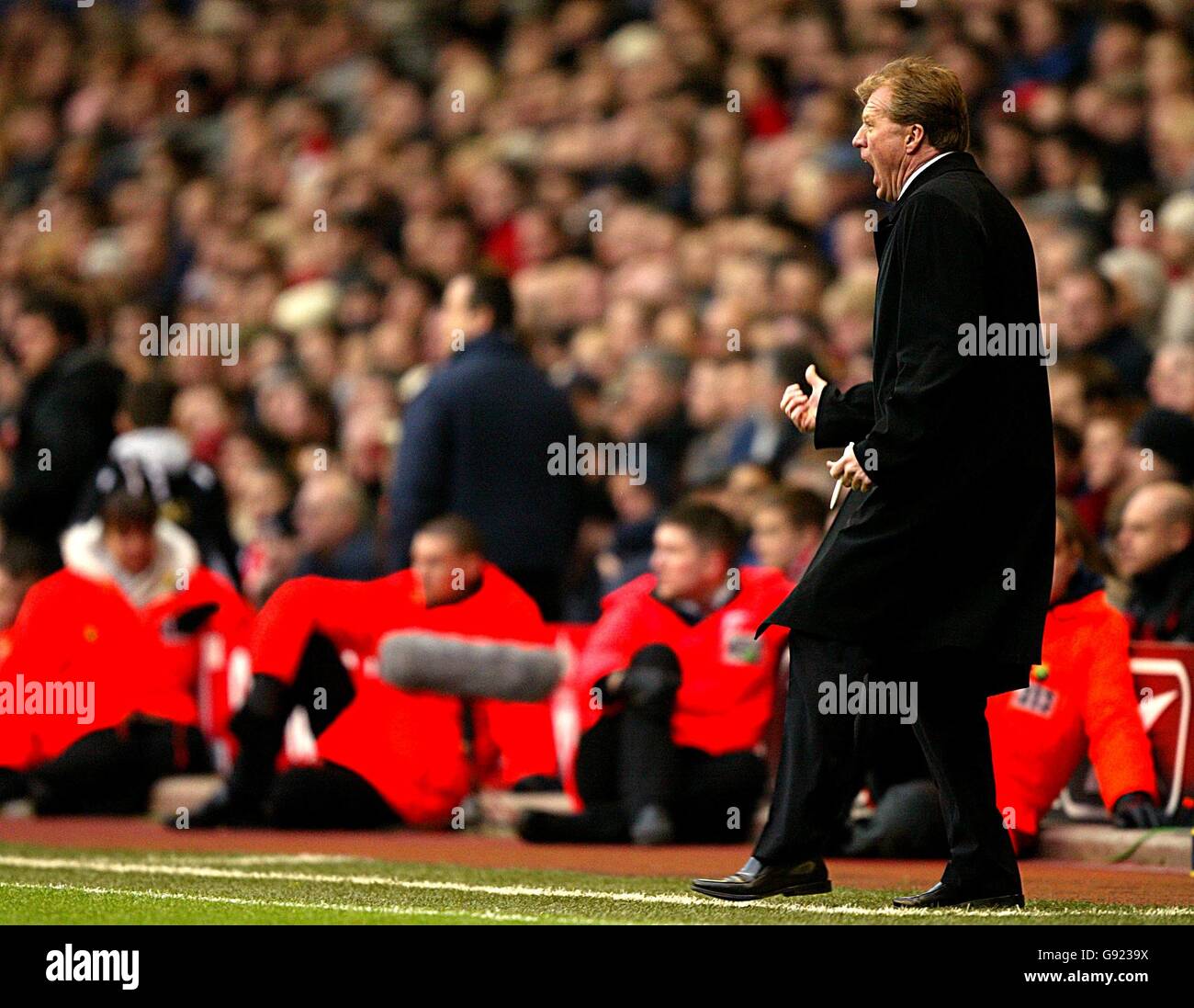 Middlesbrough manager steve mcclaren as his side nearly score hi-res ...