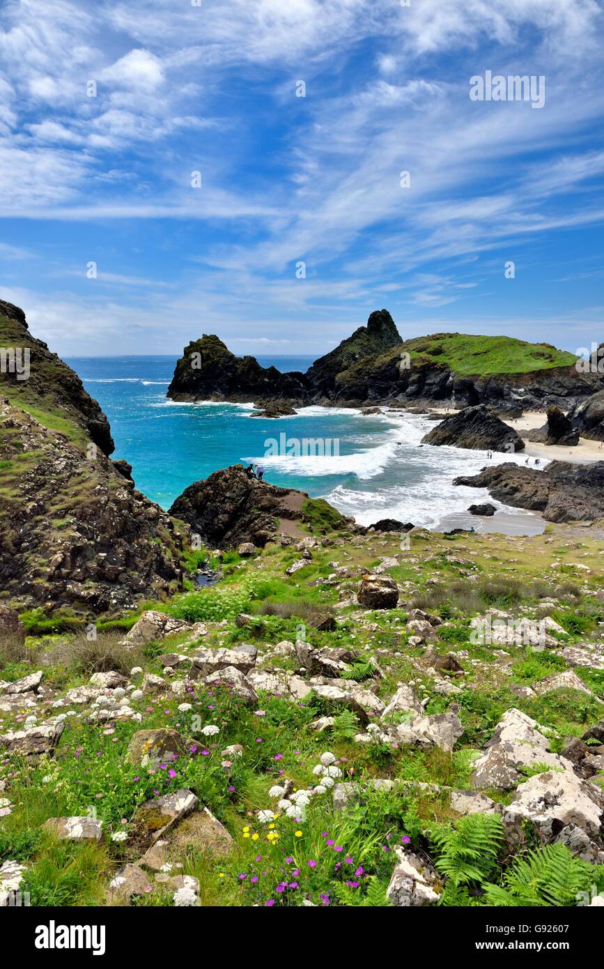 Kynance Cove on the Lizard Peninsula Cornwall England UK Stock Photo ...