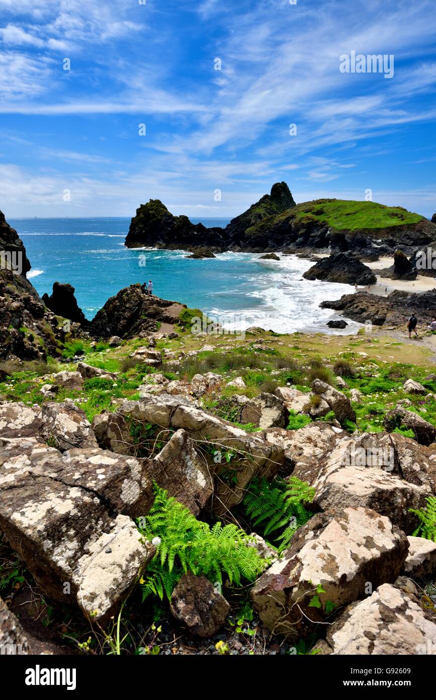 Kynance Cove on the Lizard Peninsula Cornwall England UK Stock Photo ...