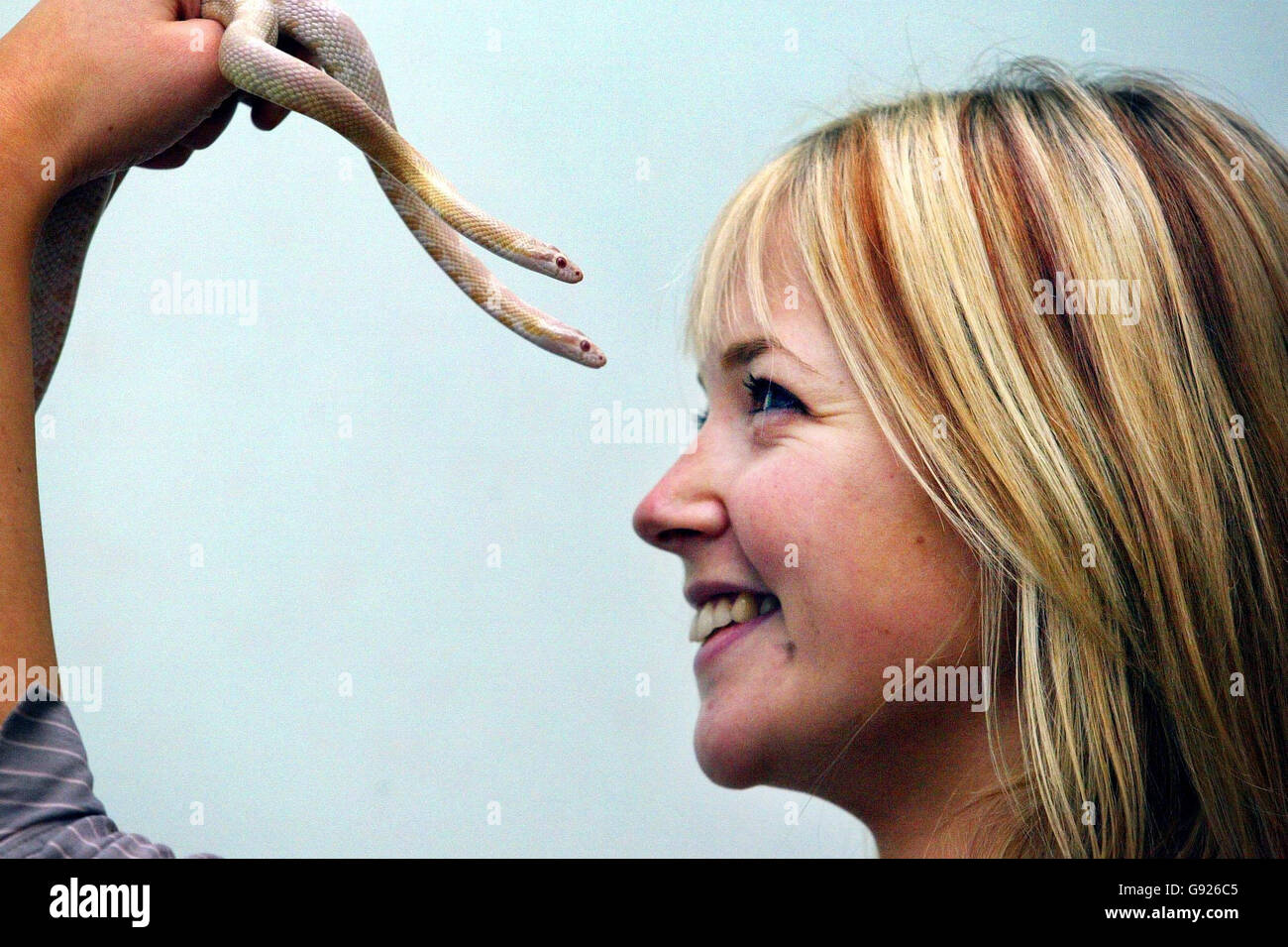 Six snakes hi-res stock photography and images - Alamy