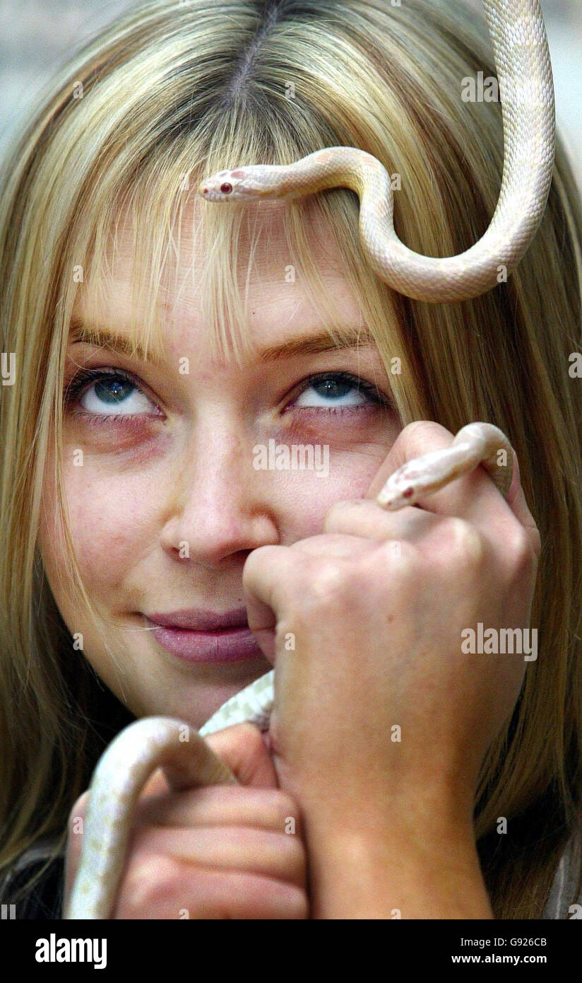 Funny snakes hi-res stock photography and images - Alamy