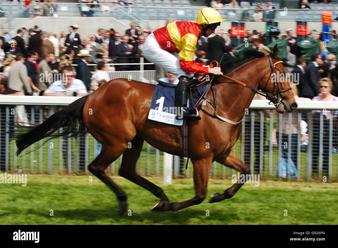 Horse racing may festival york racecourse hi-res stock photography and ...