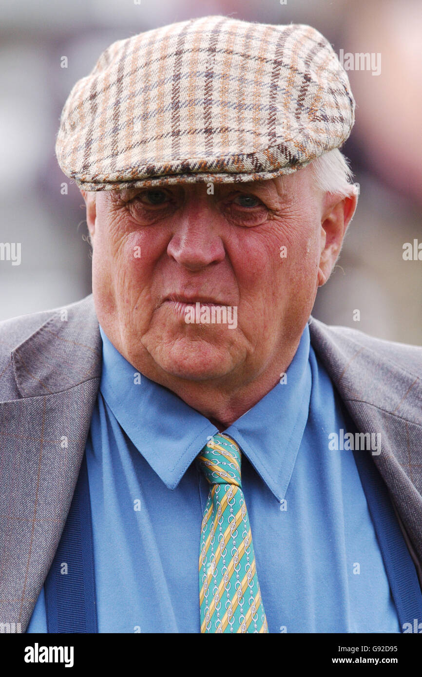 Horse Racing - 2005 July Music Showcase Weekend - York Racecourse Stock ...