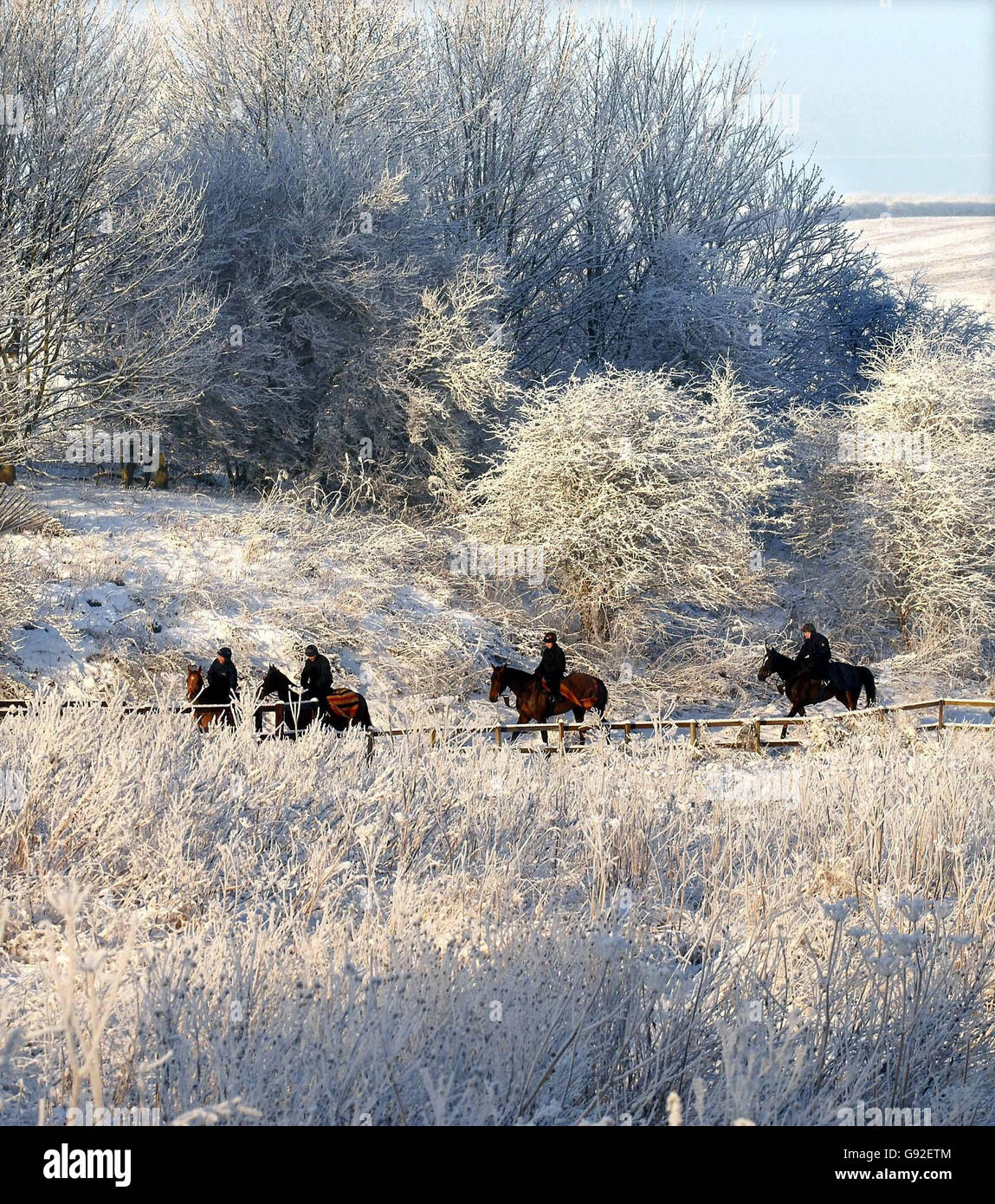 2005 temperatures plunged low 11 degrees celsius last night hi-res ...