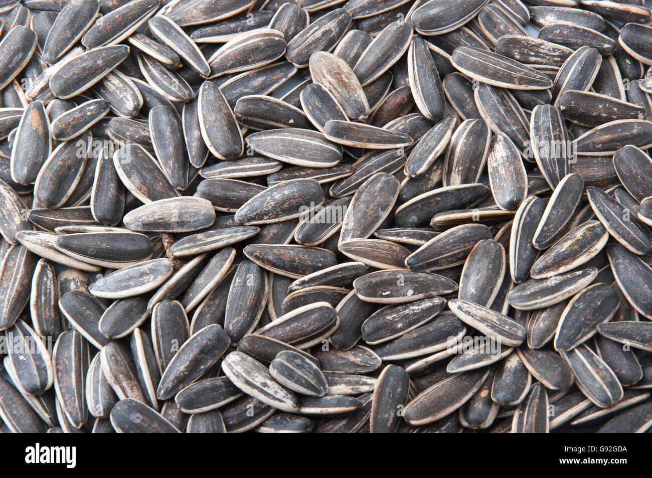 A Sunflower Seeds Textured Background Stock Photo - Alamy