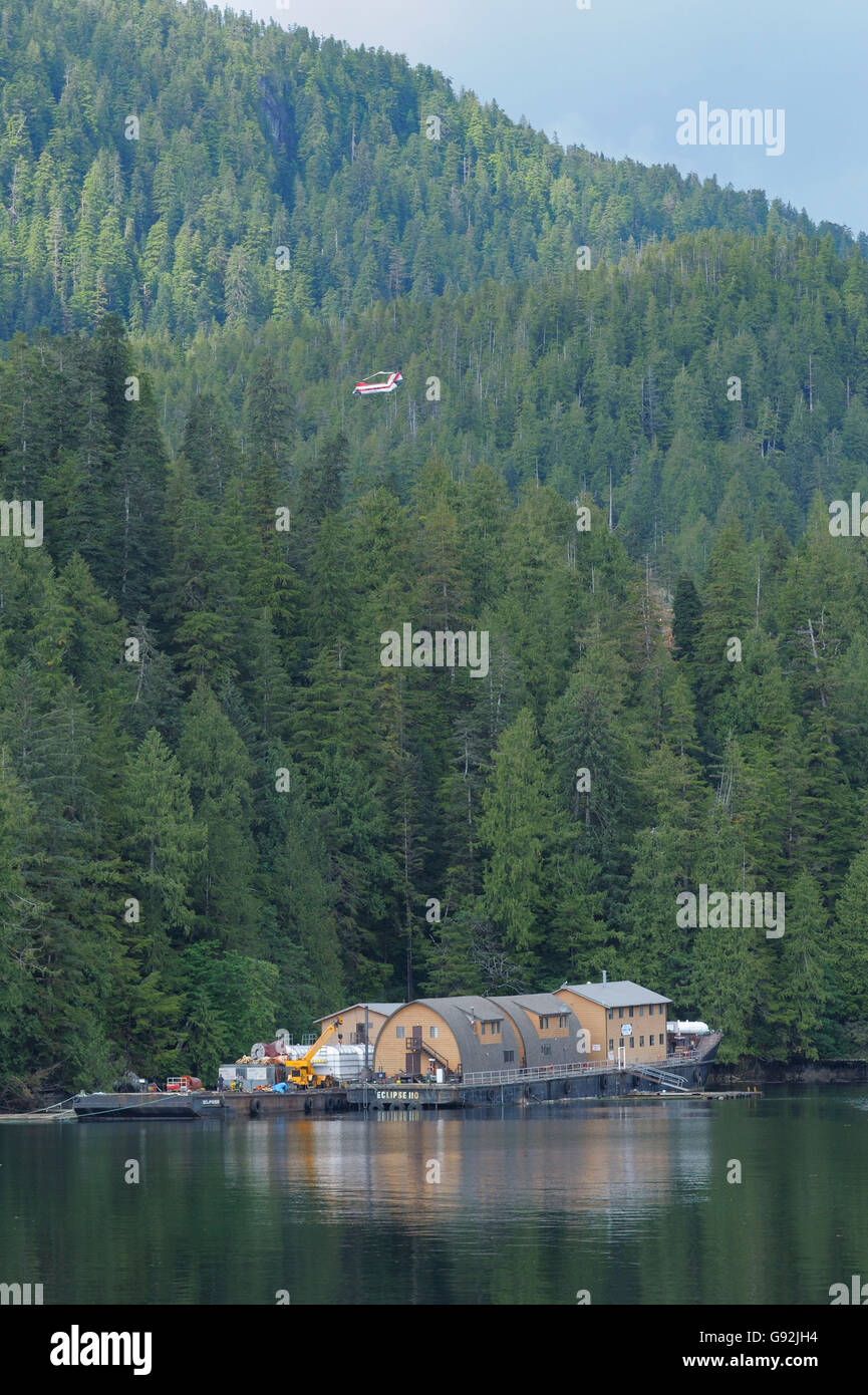 Helicopter logging hi-res stock photography and images - Alamy