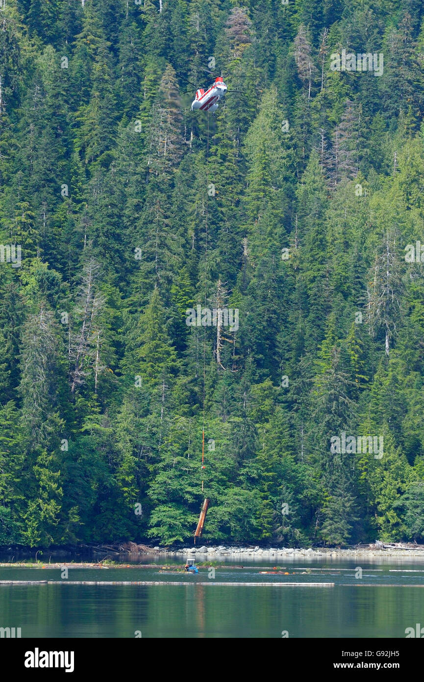 Heli logging hi-res stock photography and images - Alamy