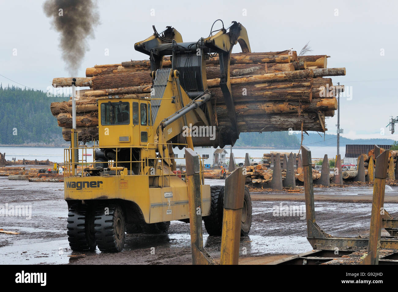 Lumber mill log storage with logging equipment hi-res stock photography ...