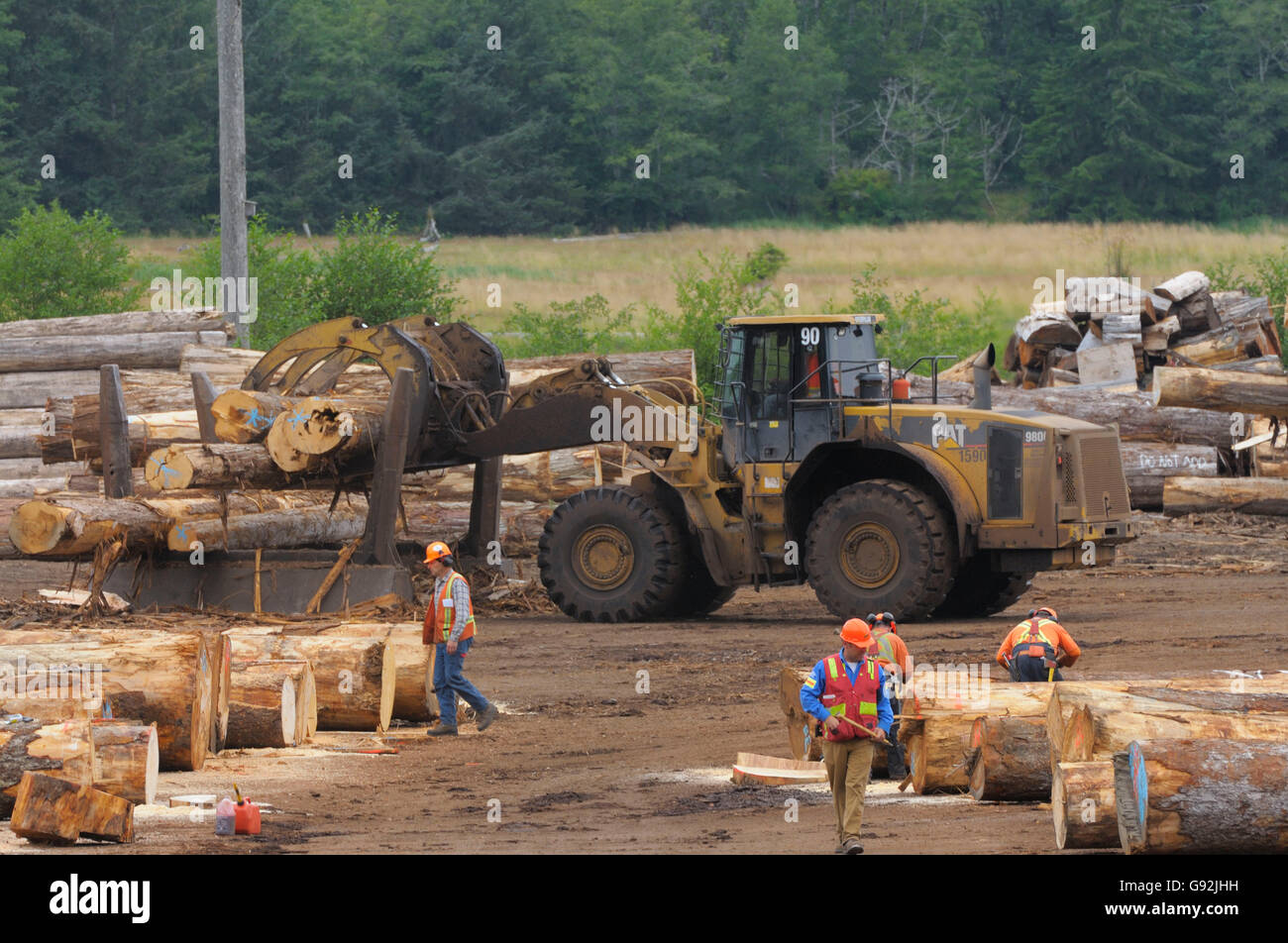 Logging equipment hi-res stock photography and images - Alamy
