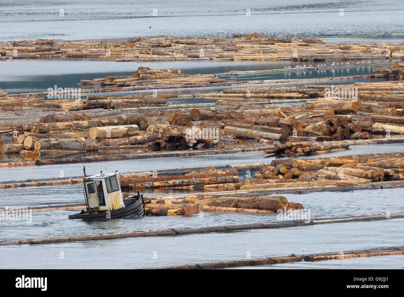 Tug and log boom hi-res stock photography and images - Alamy