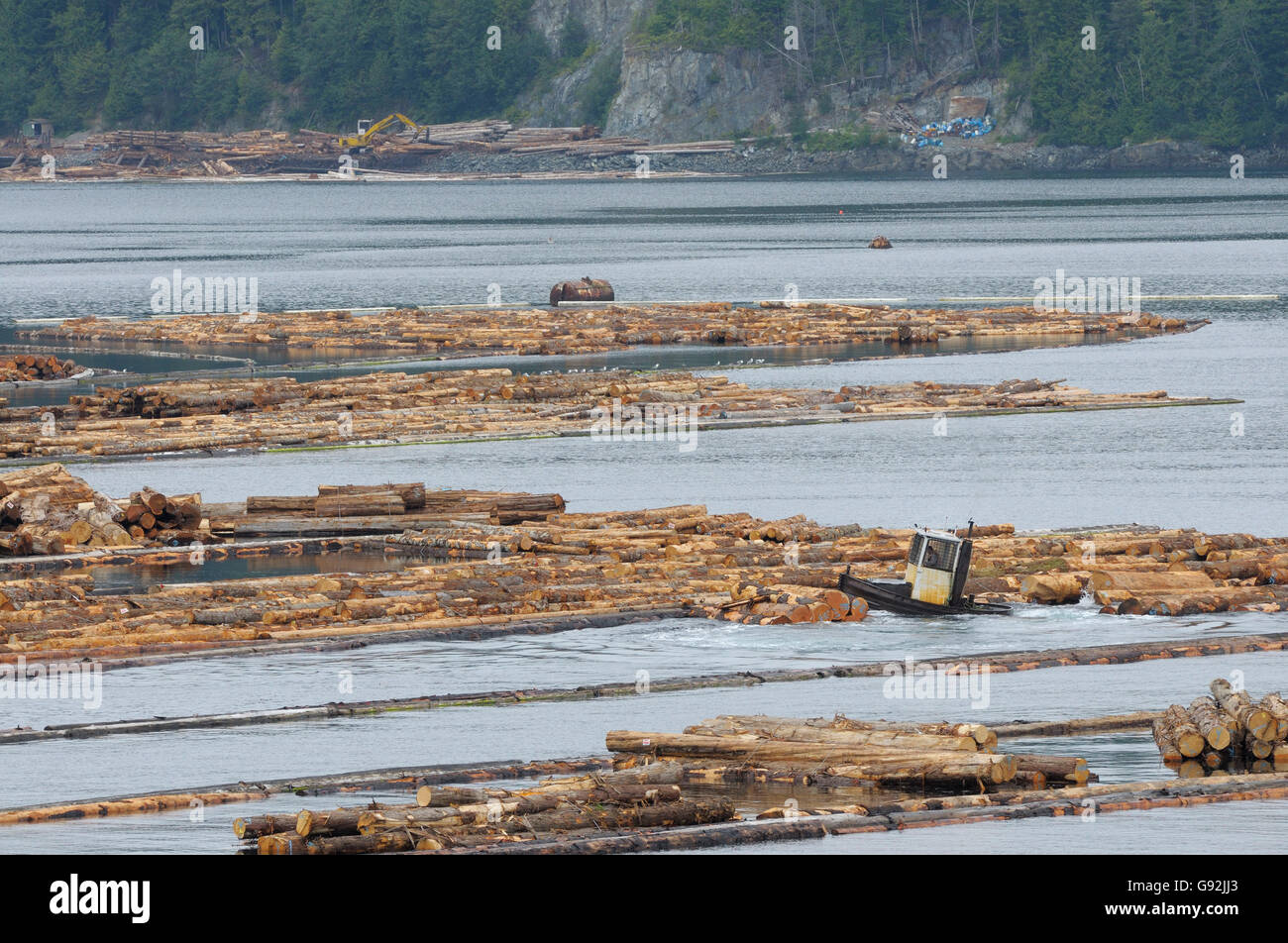 Tug boat working on log boom, Telegraph Cove, Vancouver Island, British ...