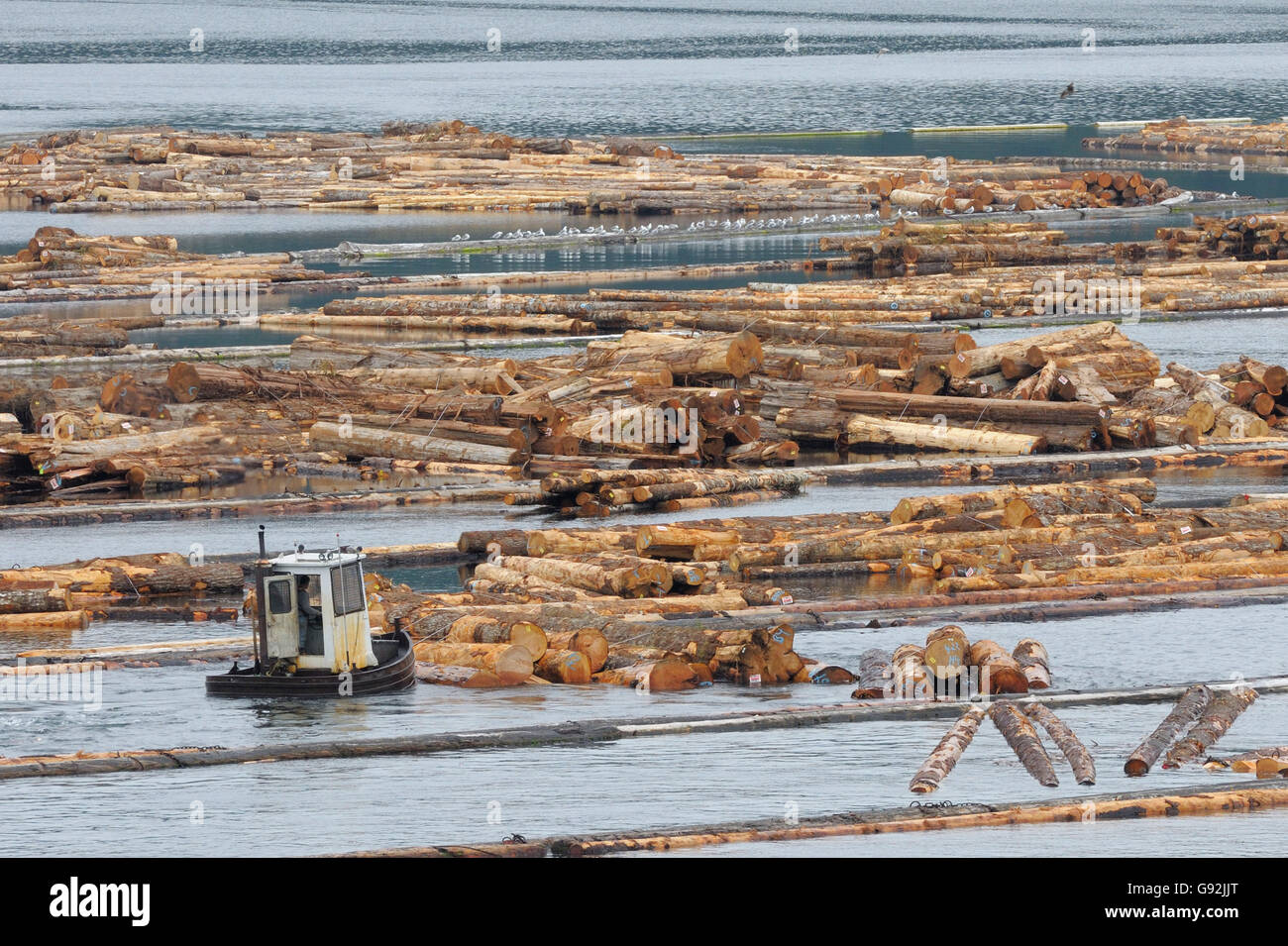 Log boom, vancouver island hi-res stock photography and images - Alamy
