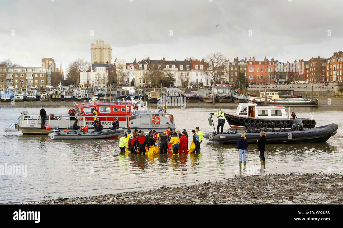 Rescuers battle save 15ft northern bottle nosed whale in river thames ...