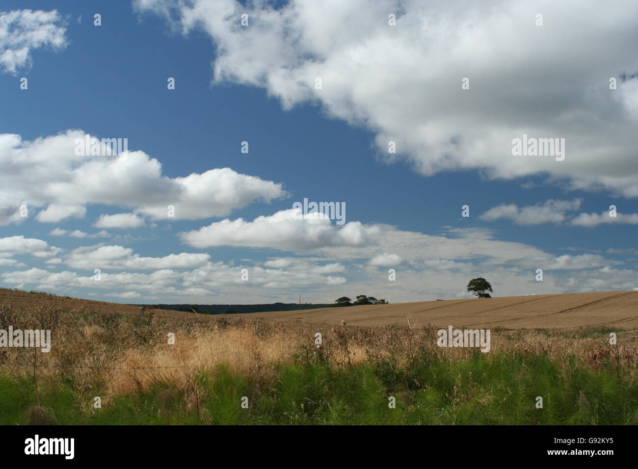 Cloughton hi-res stock photography and images - Alamy