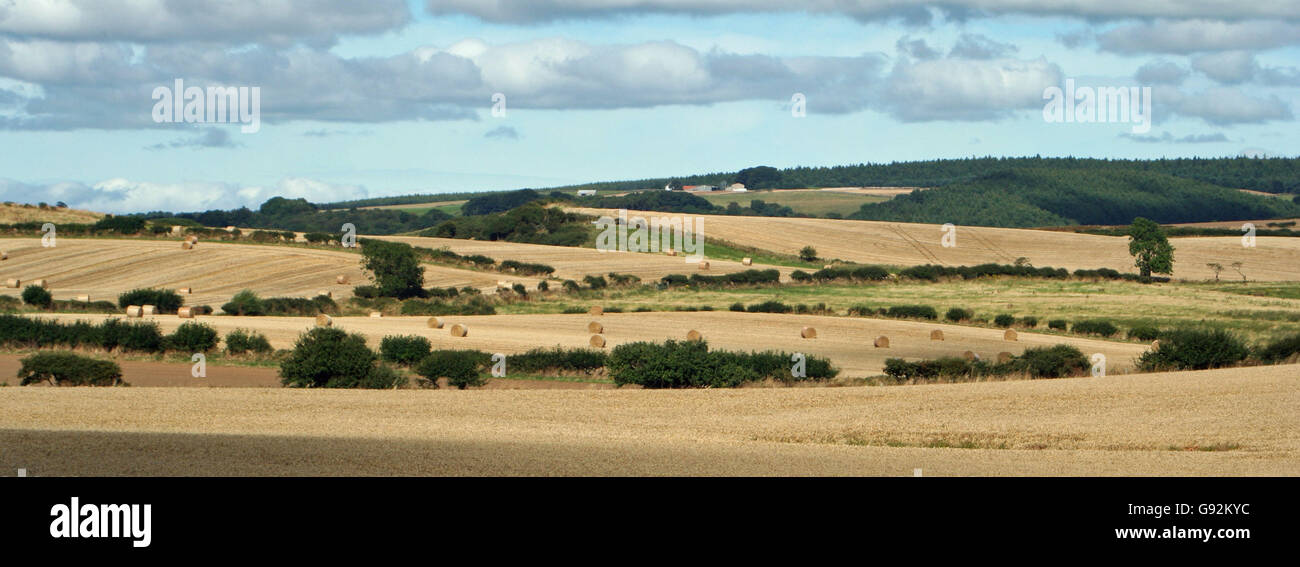 Cloughton hi-res stock photography and images - Alamy