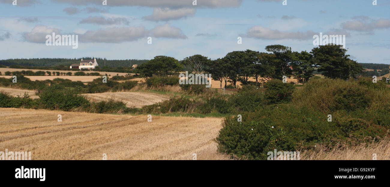 Burniston yorkshire hi-res stock photography and images - Alamy