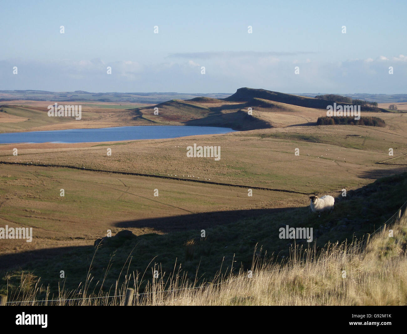 Broomlee lough hi-res stock photography and images - Alamy