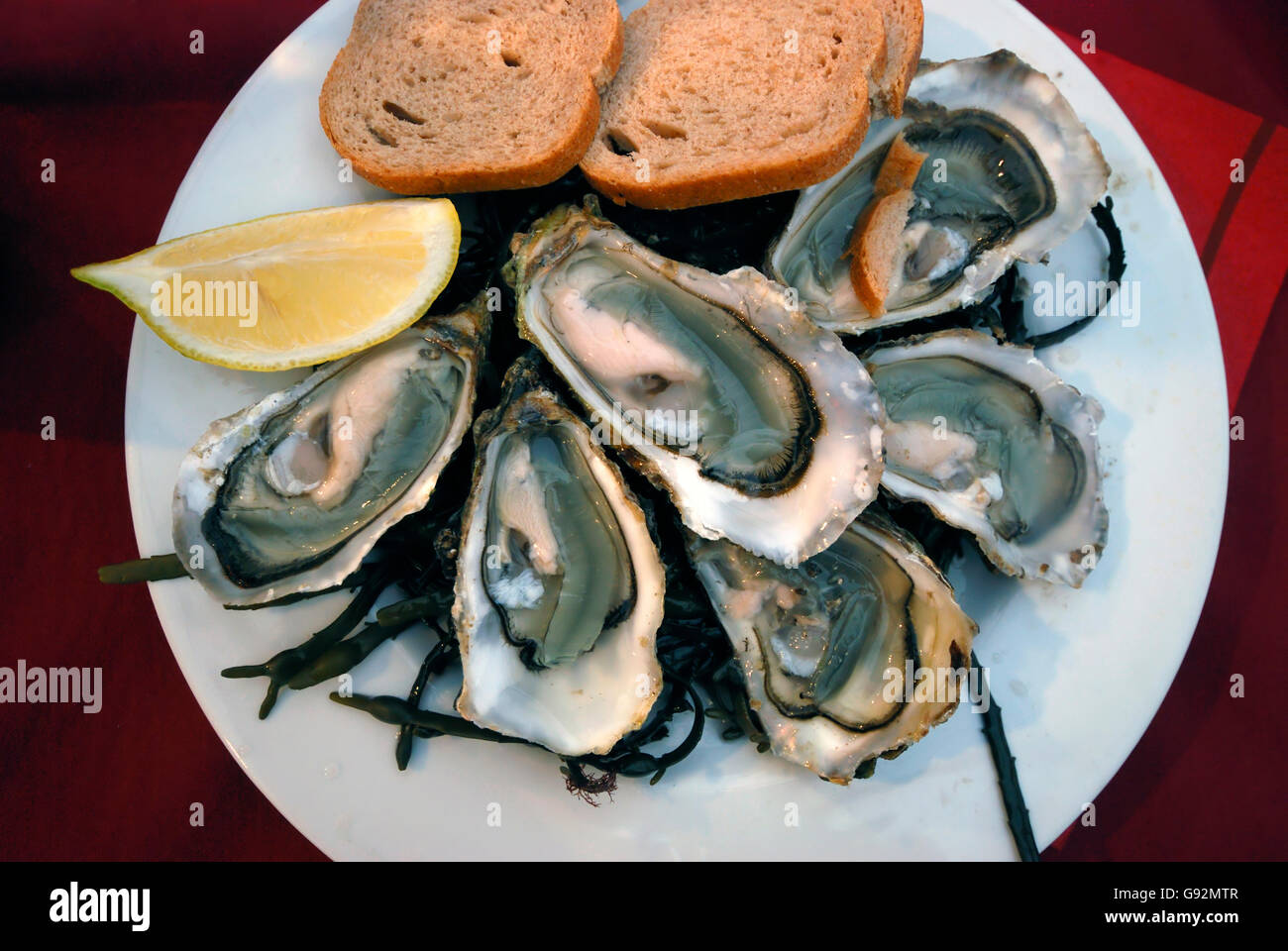 Pacific oysters plate hi-res stock photography and images - Alamy