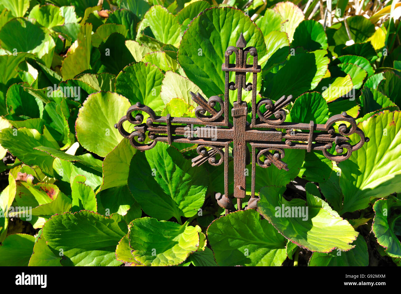Cross plants christianity hi-res stock photography and images - Alamy